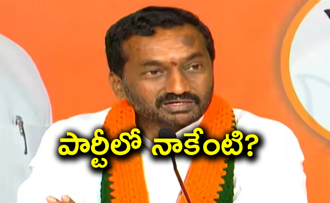 BJP MLA Raghunandan Rao Demands BJP High Command - Sakshi